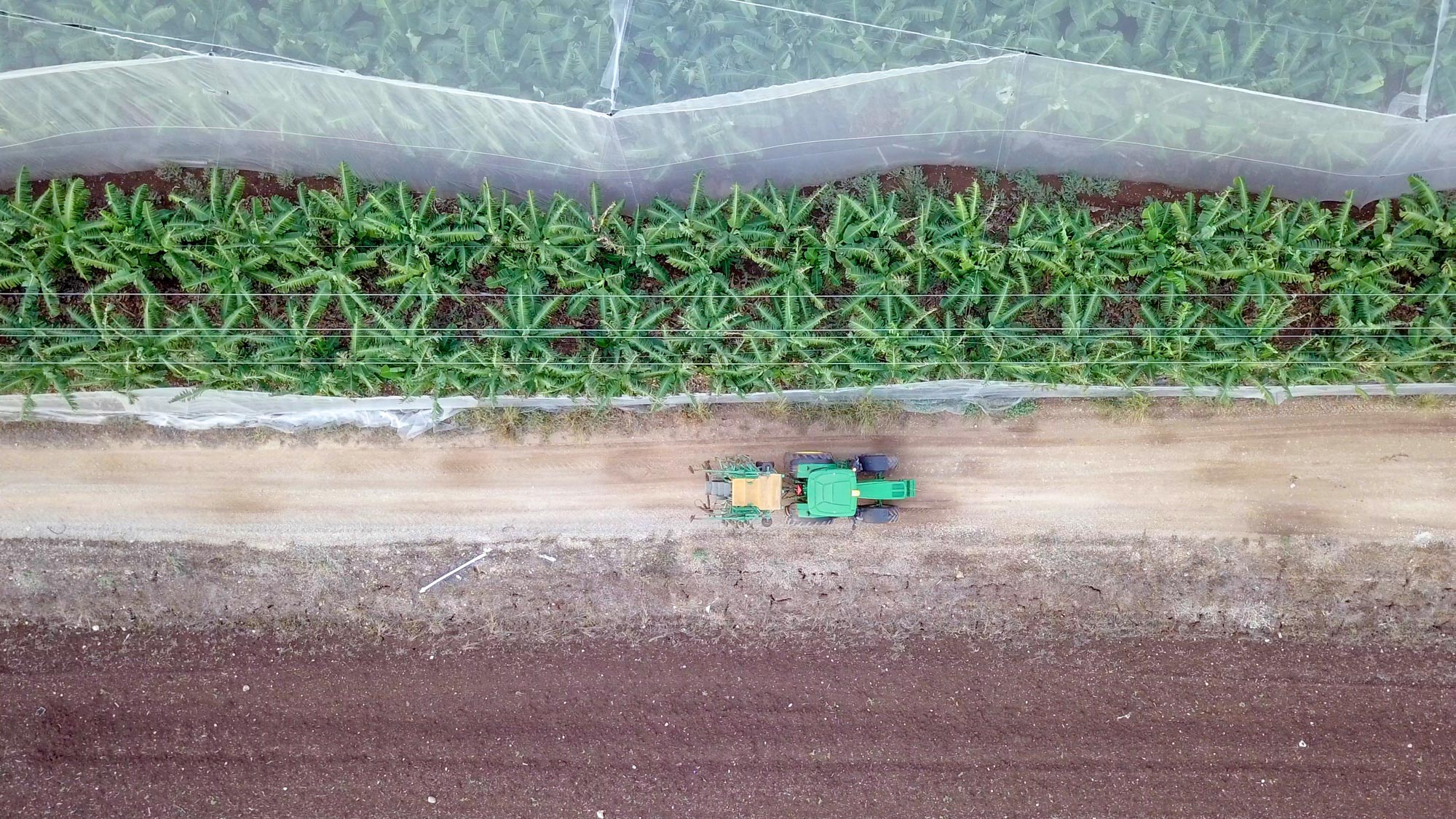 Regulated Biotech Field Trials | The North Hill Group